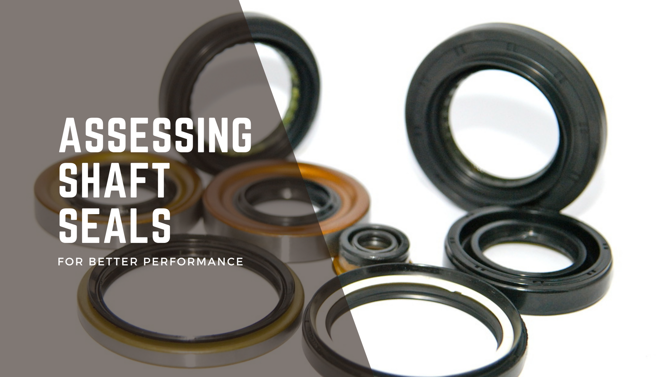 About Oil Seals: An Essential Guide for Hydraulic Pump and Motor Appli ...