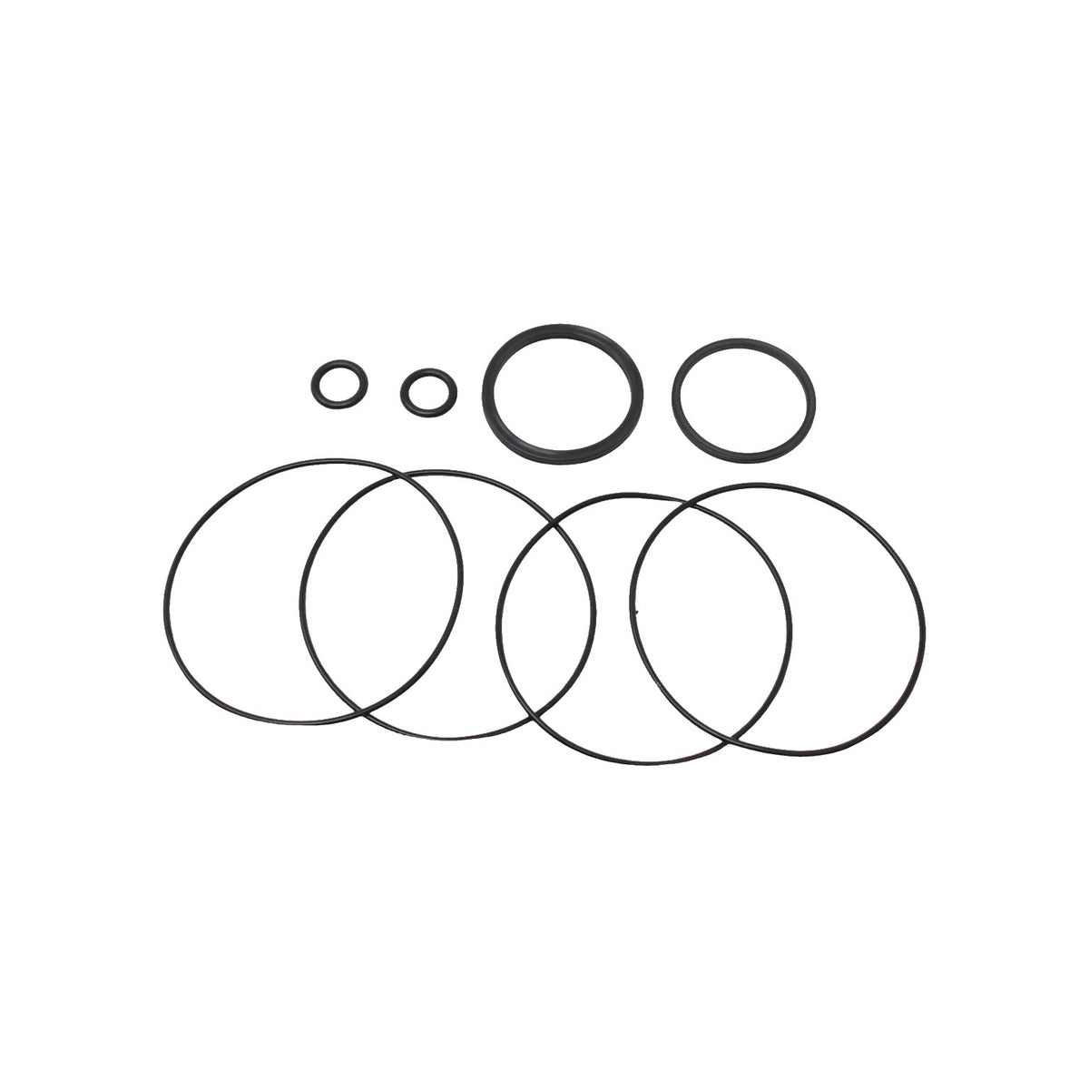 Seal Kit for Char-Lynn 217-1069-002 Motor — Aztec Hydraulics
