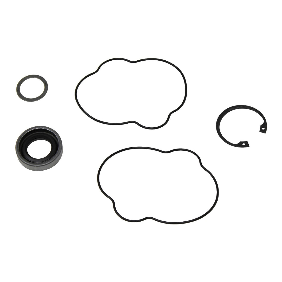 Eaton/Cessna 26700-900 - Seal Kit for Bidirectional 26 Series Hydrauli ...