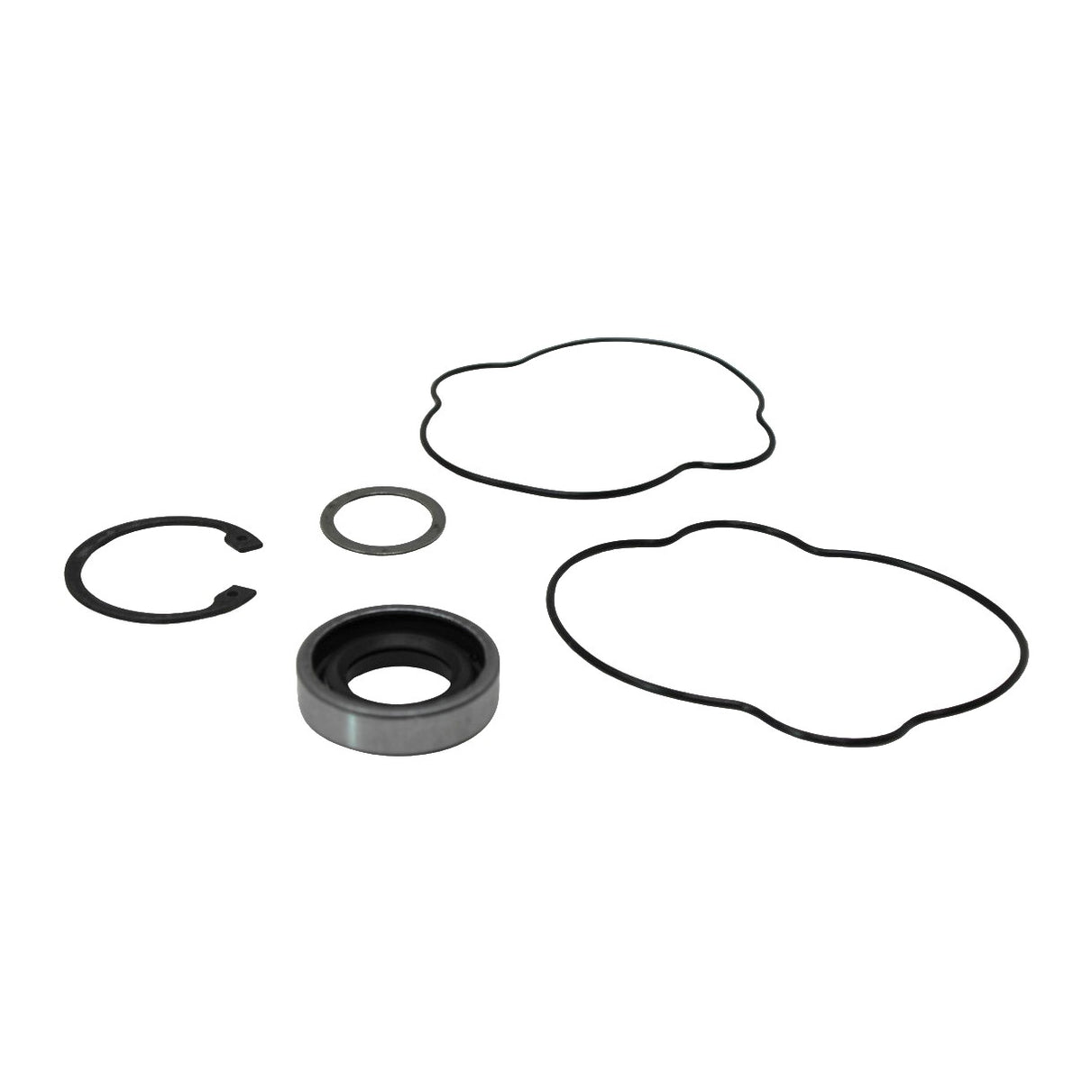 Seal Kit for Eaton/Cessna 26713-DAE Motor — Aztec Hydraulics