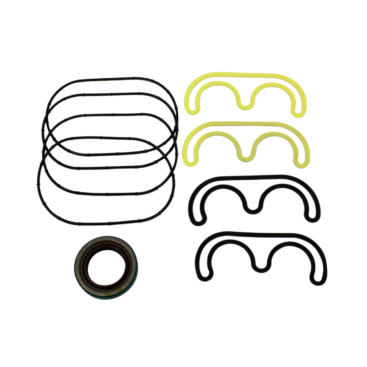 Seal Kit for Danfoss 163D71006 Hydraulic Pump — Aztec Hydraulics