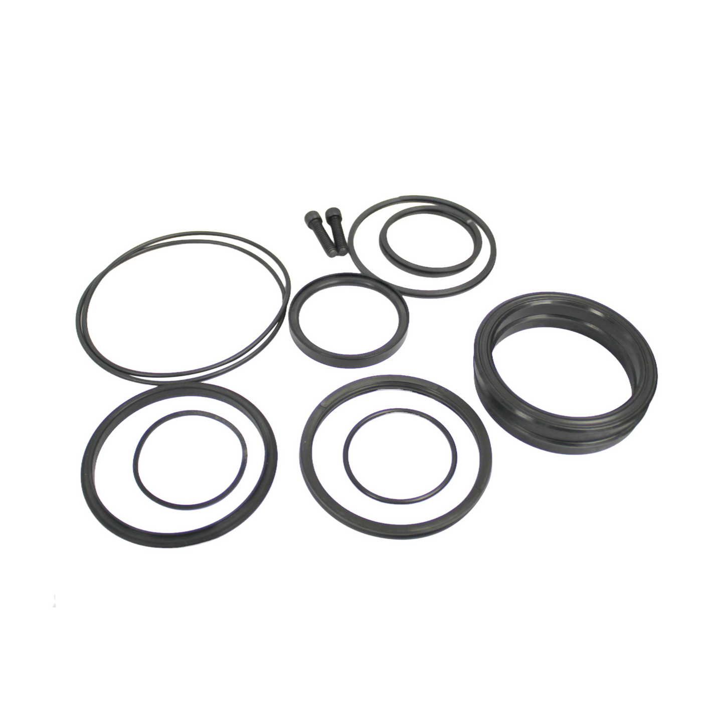 Seal Kit for Genie 54368GT Motor - Rotator — Aztec Hydraulics