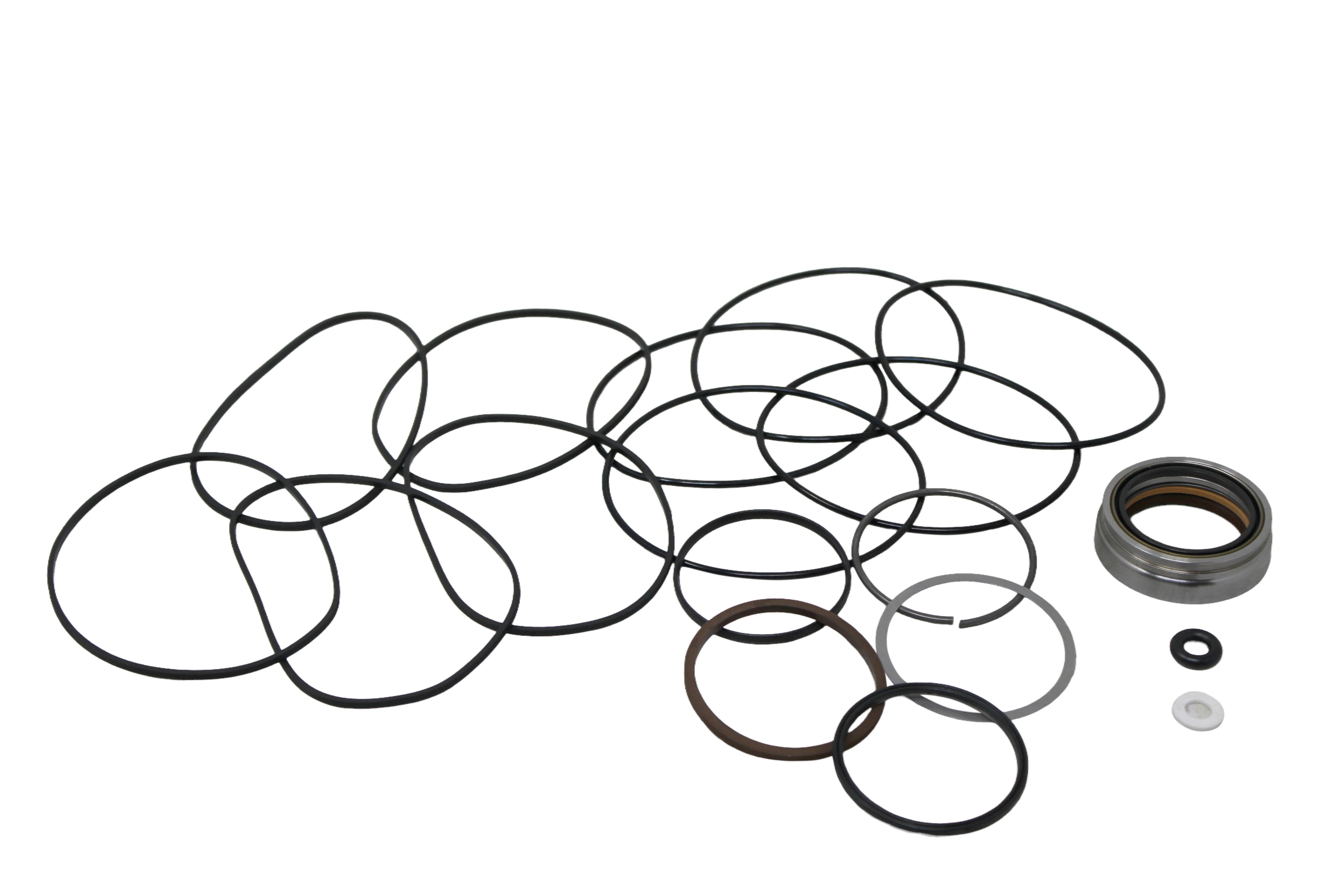 Seal Kit for White (Danfoss) 300125B7601AAAABS - Hydraulic Motor ...