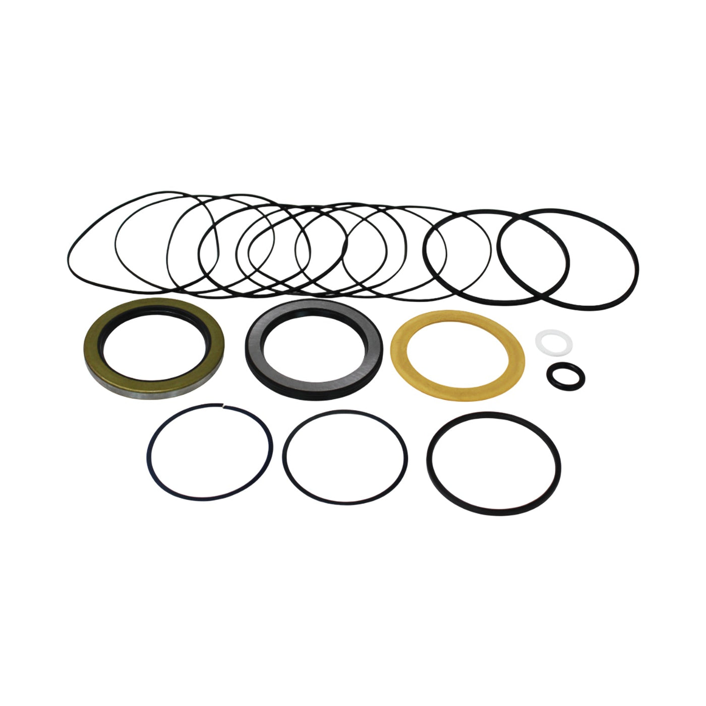Seal Kit for White (Danfoss) 700930C8530AAAAAS - Hydraulic Motor ...